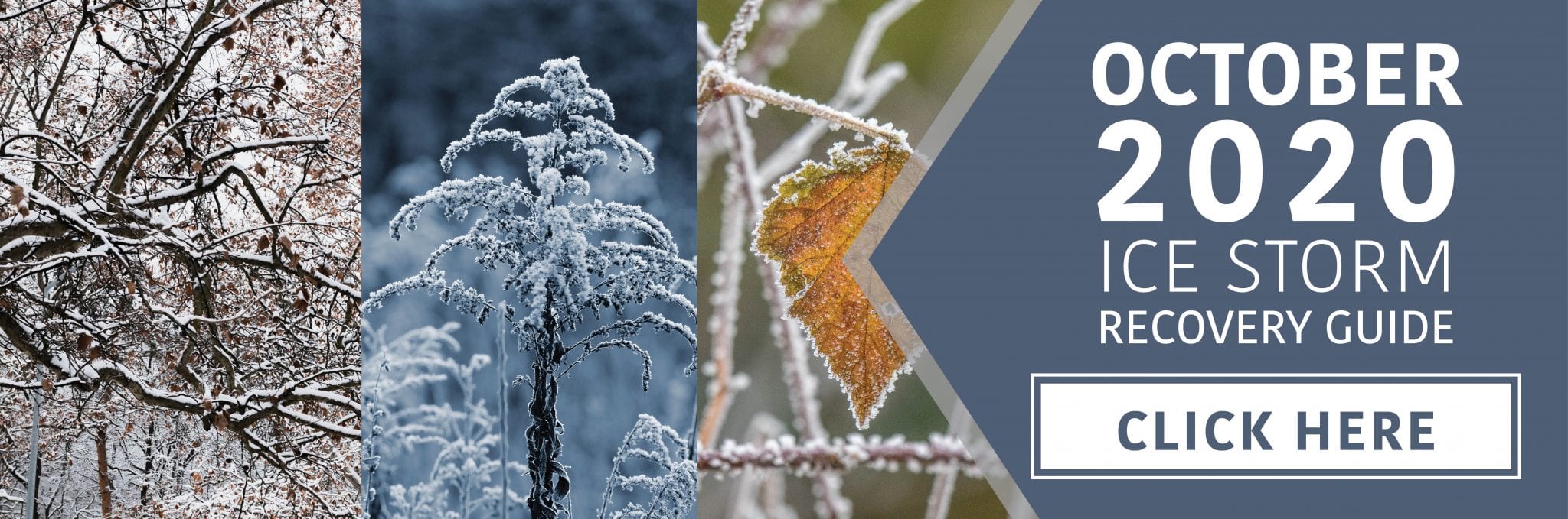 Home | Oklahoma Insurance Department